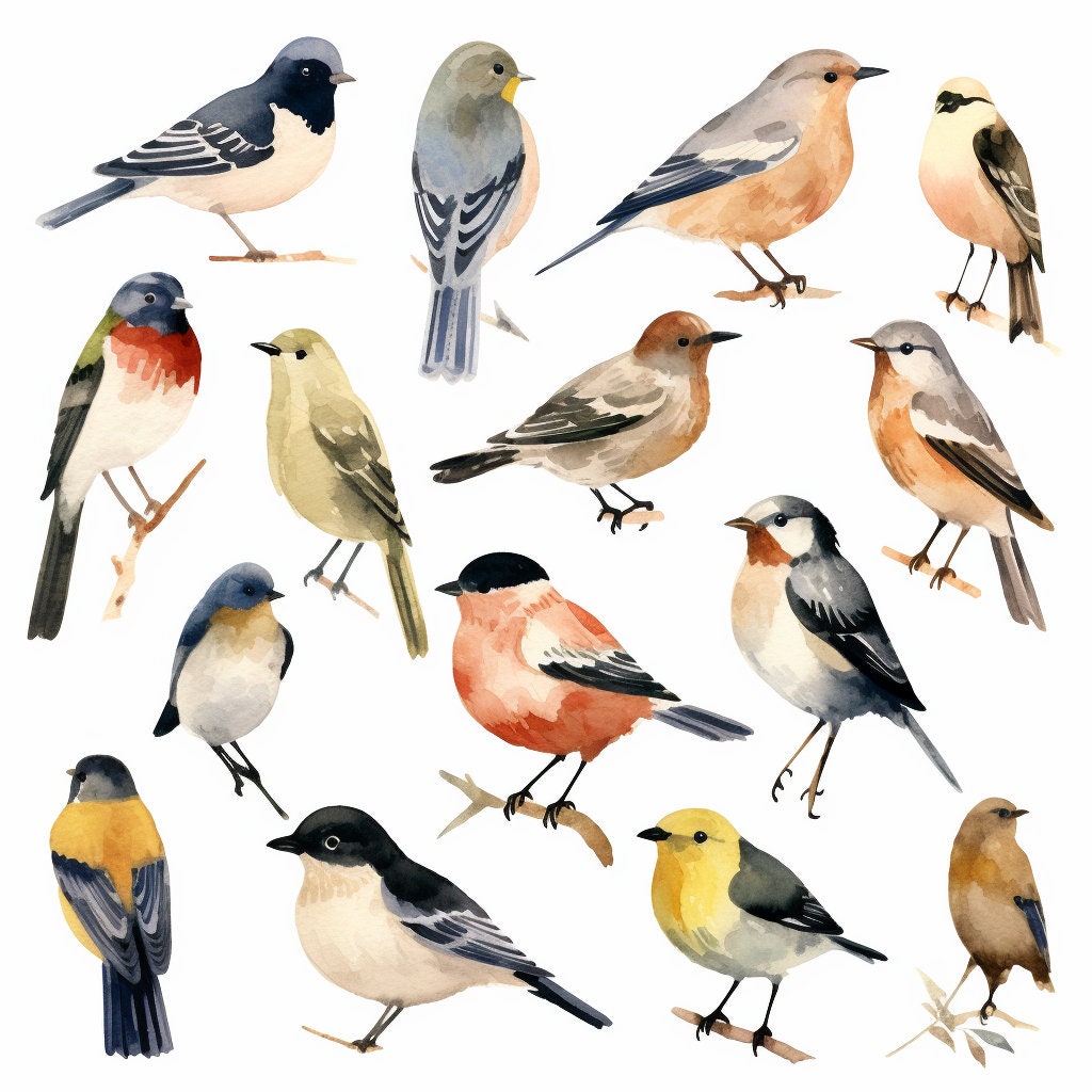 Set of 56, Watercolor Birds Clipart Bundle, Spring Birds Clipart, Birds ...