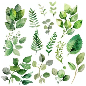 Watercolor Greenery Foliage Clipart Set: 32 PNG, Watercolor Leaves ...