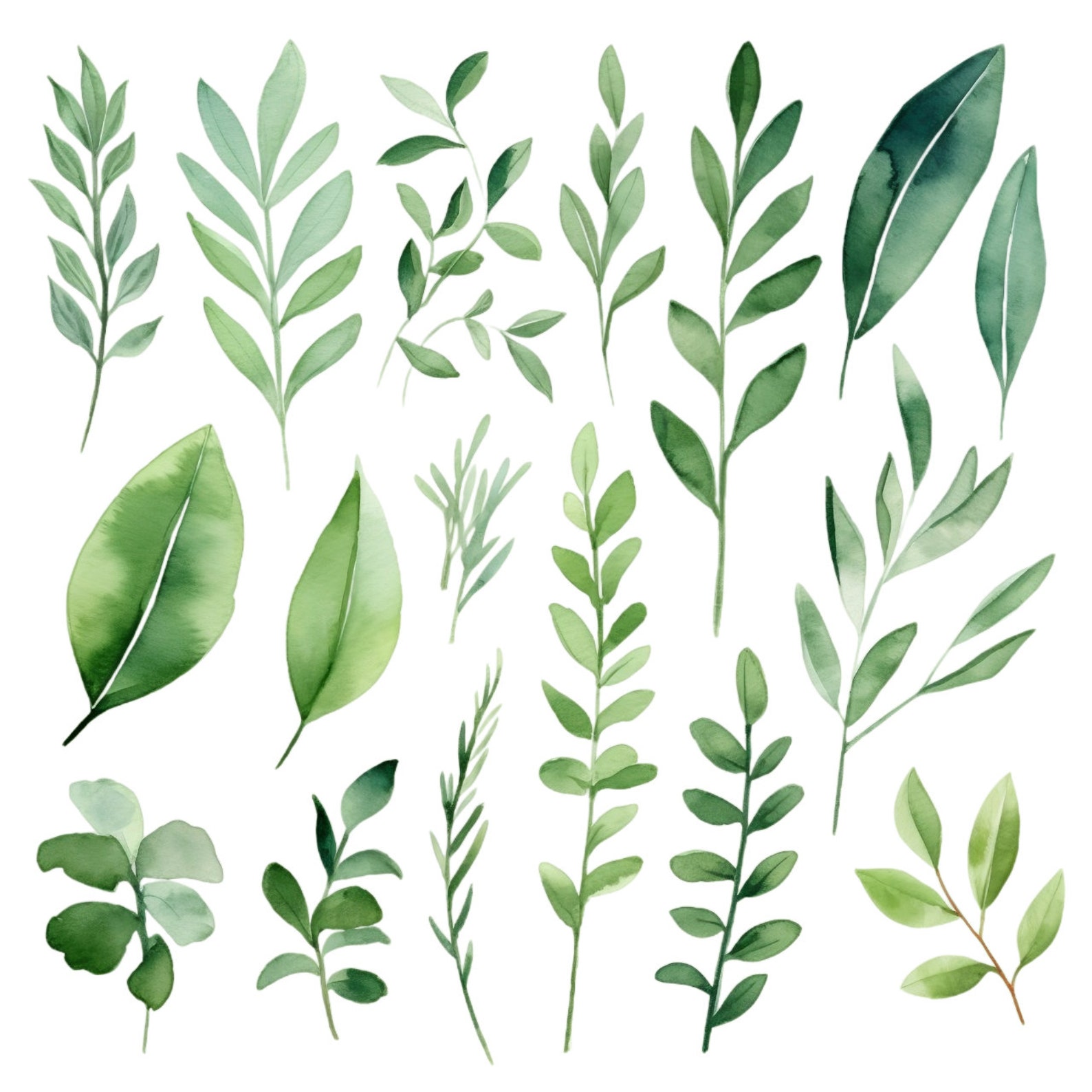 Watercolor Greenery Foliage Clipart Set: 17 PNG, Watercolor Leaves ...