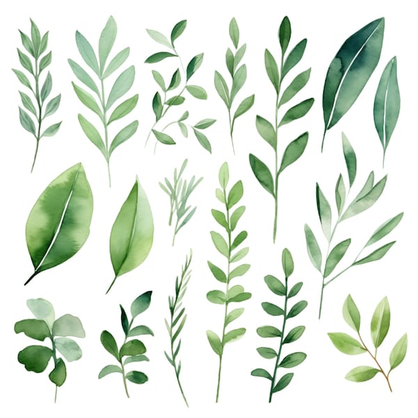 Clipart Leaves - Etsy