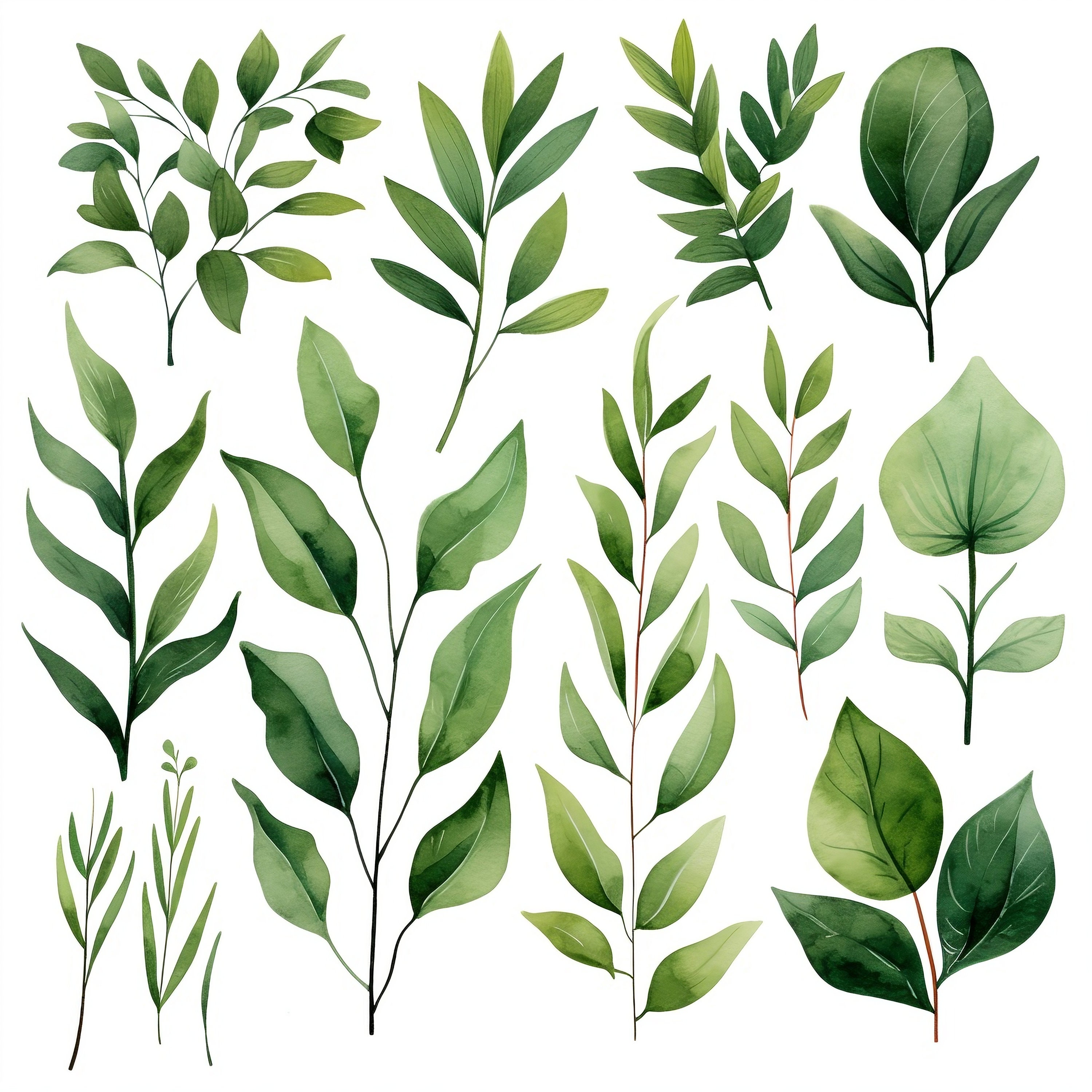 Watercolor Greenery Foliage Clipart Set: 13 PNG, Watercolor Leaves ...