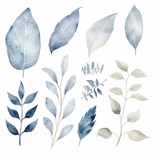 Greenery and Silver Foliage Leaves Clipart - Watercolor Botanical PNG ...