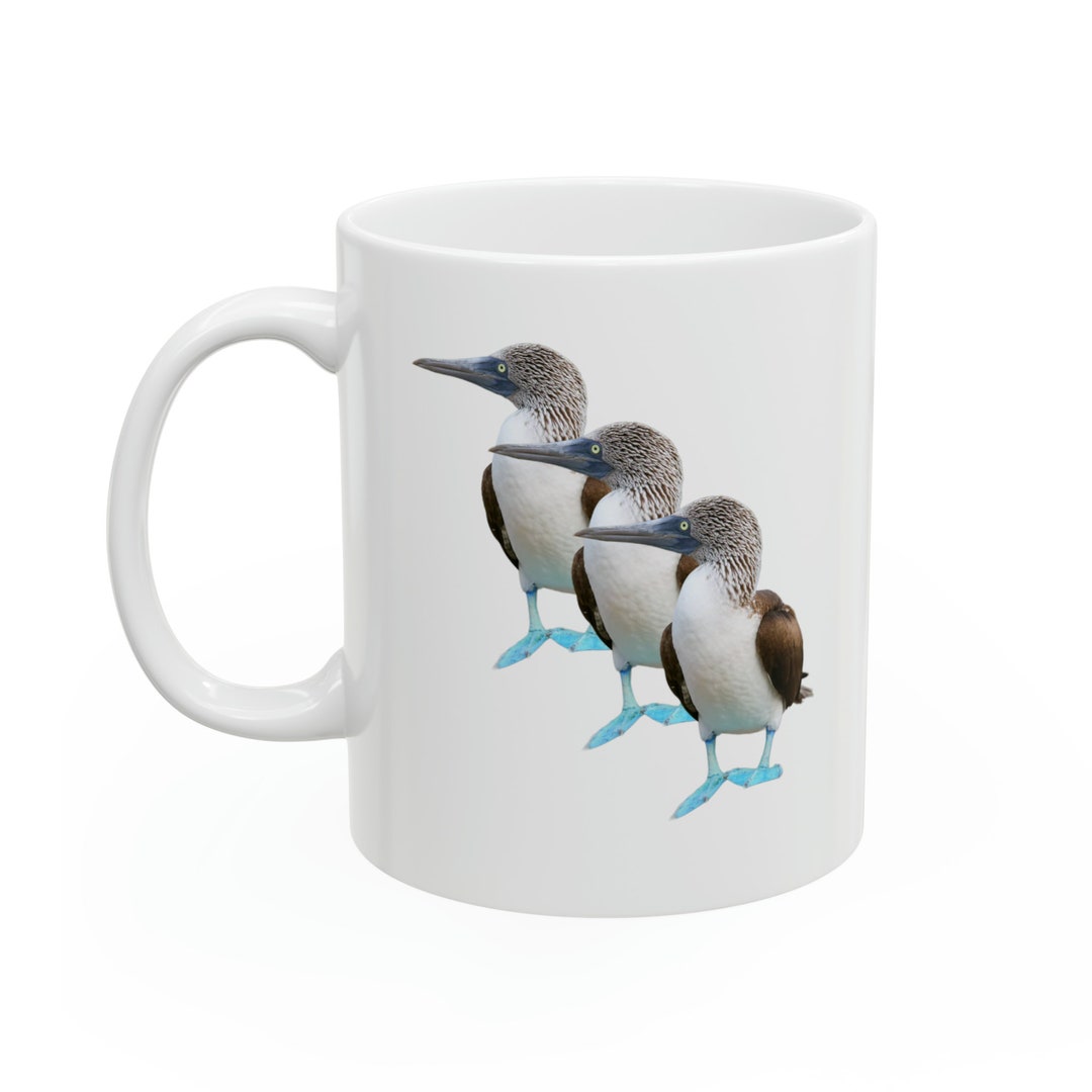 Blue-footed Booby Mug: Galapagos Islands Coffee Mug - Etsy