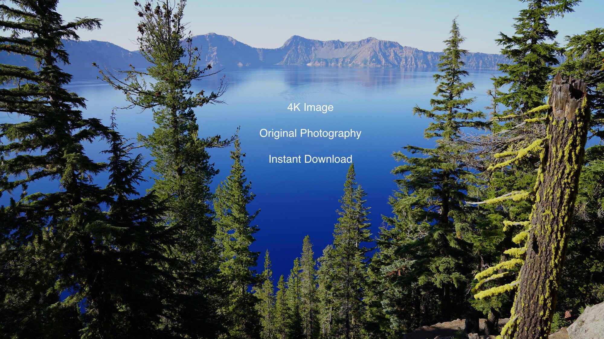 Virtual Meeting Background in 4K for Zoom, Microsoft Teams, Google Meet ...