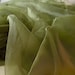 Olive Green Crystal Organza Fabric by the Yard, Olive Sheer Organza ...