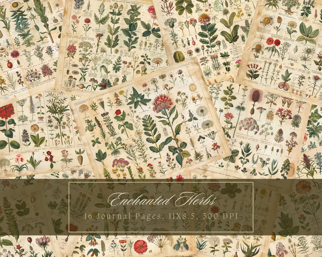 Botanical Herbs Junk Journal Kit Botany Collage Sheet Herbal Digital ...