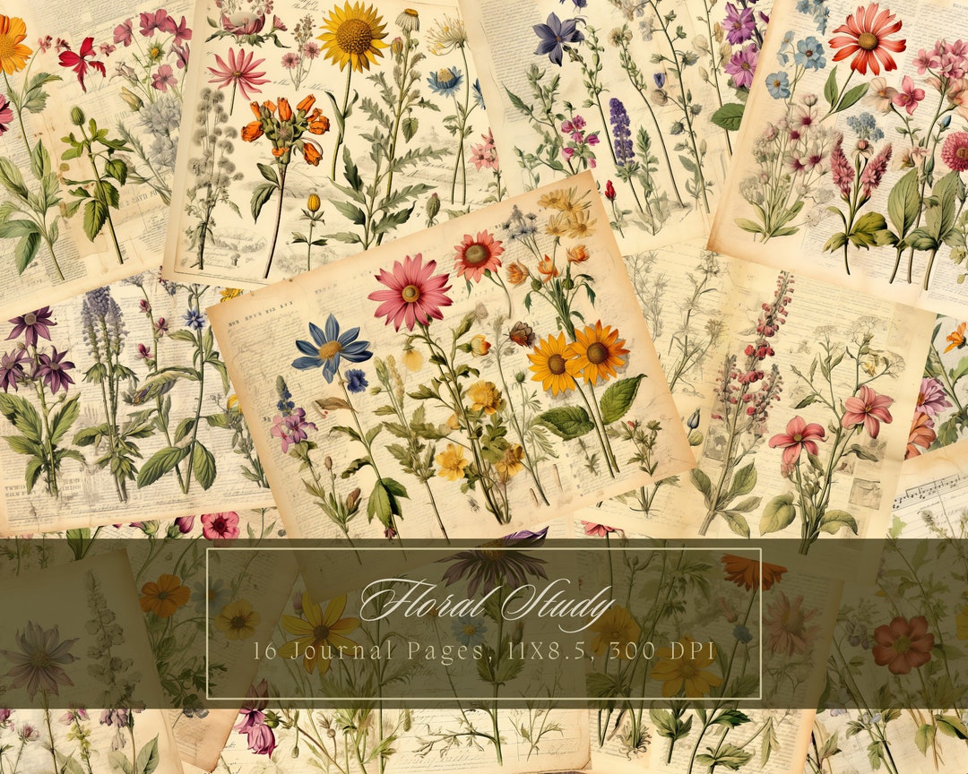 Vintage Botanical Collage Sheets Floral Junk Journal Kit Decoupage ...
