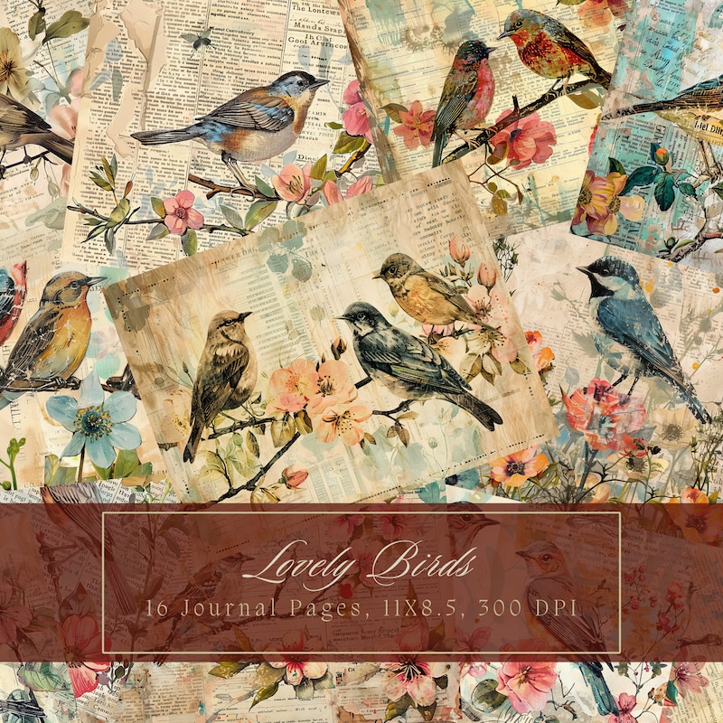 Bird Printables for Collage - Etsy