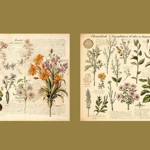 Botanical Herbs Junk Journal Kit Botany Collage Sheet Herbal Digital ...