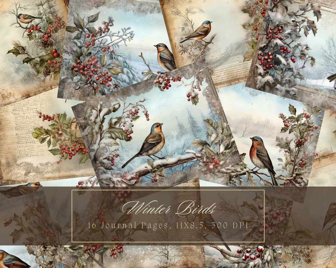 Winter Birds Junk Journal Kit Christmas Vintage Ephemera Journal ...