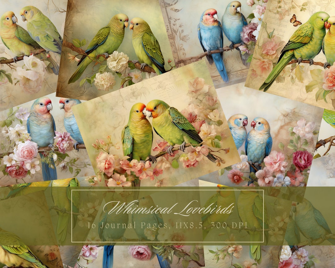 Colorful Lovebirds and Flowers Junk Journal Kit Vintage Ephemera ...