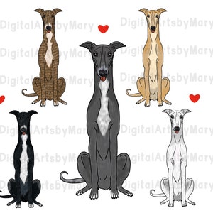 Cute Greyhound Clipart Set PNG File Instant Download : - Etsy