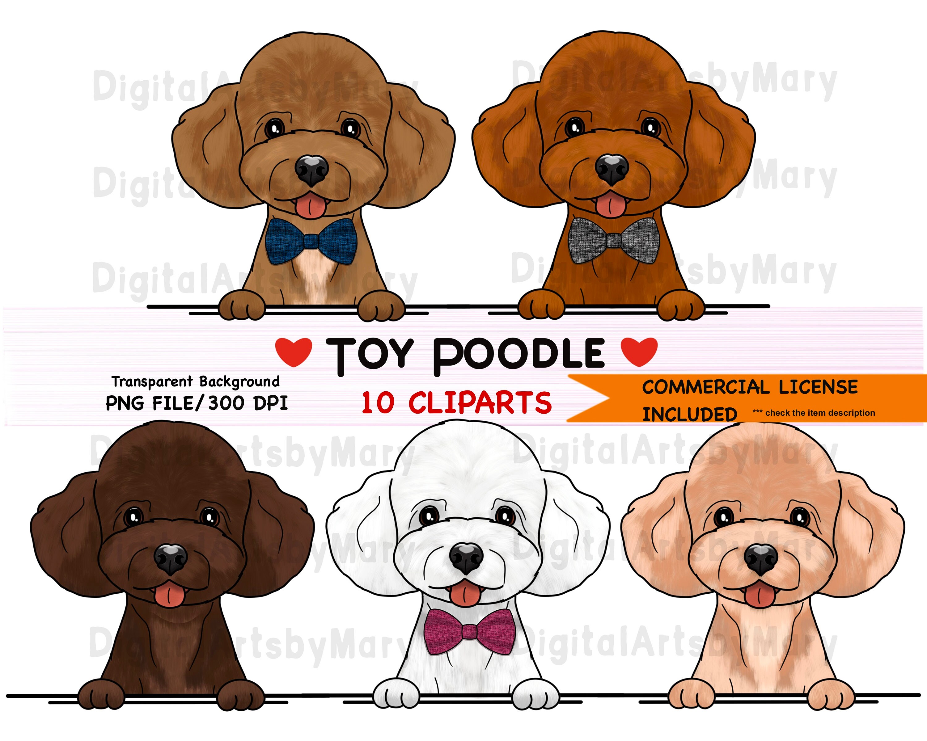 Cute Toy Poodle Clipart Set PNG File Instant Download : Toy Poodle ...