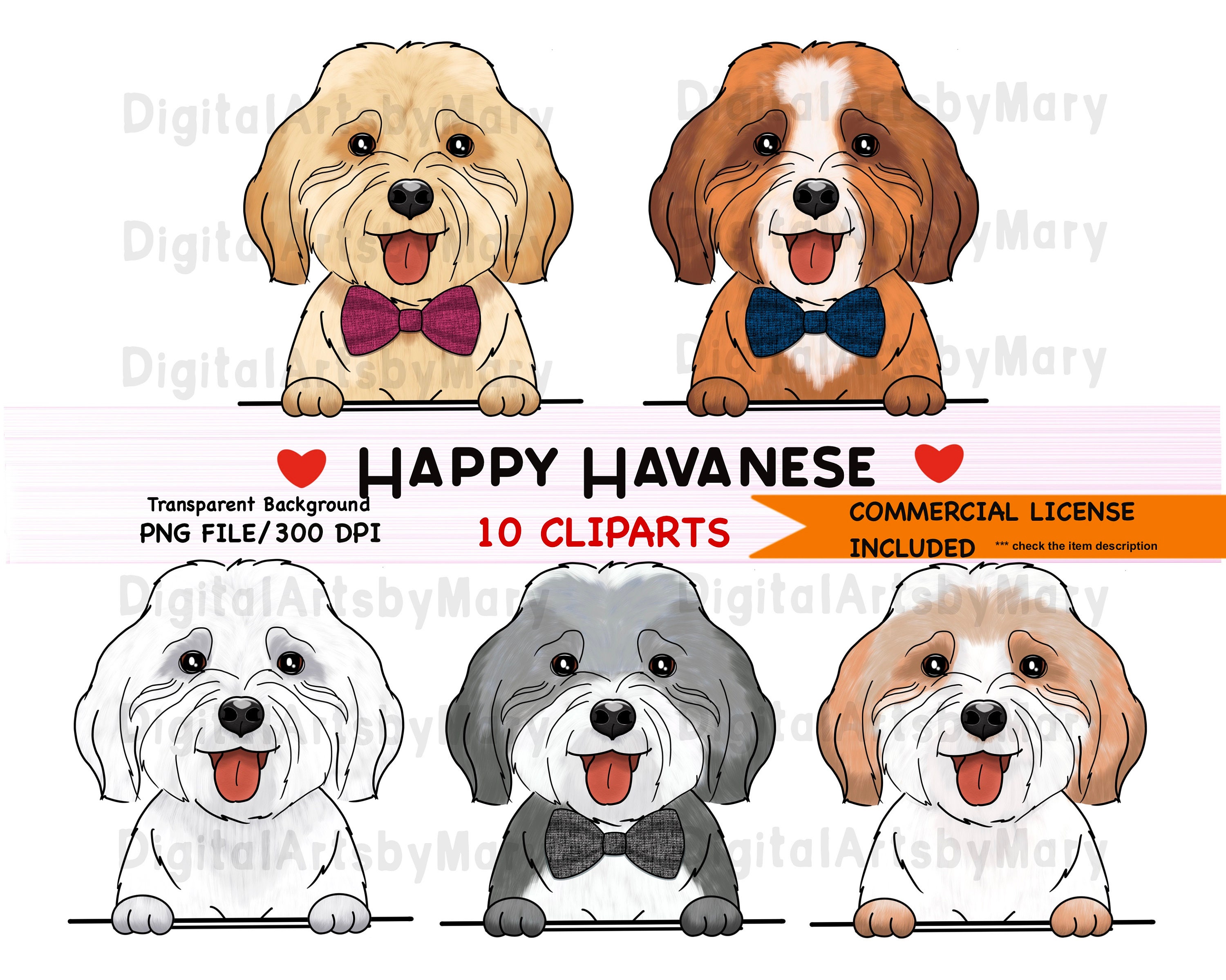 Cute Havanese Clipart Set PNG File Instant Download : Havanese Stickers ...