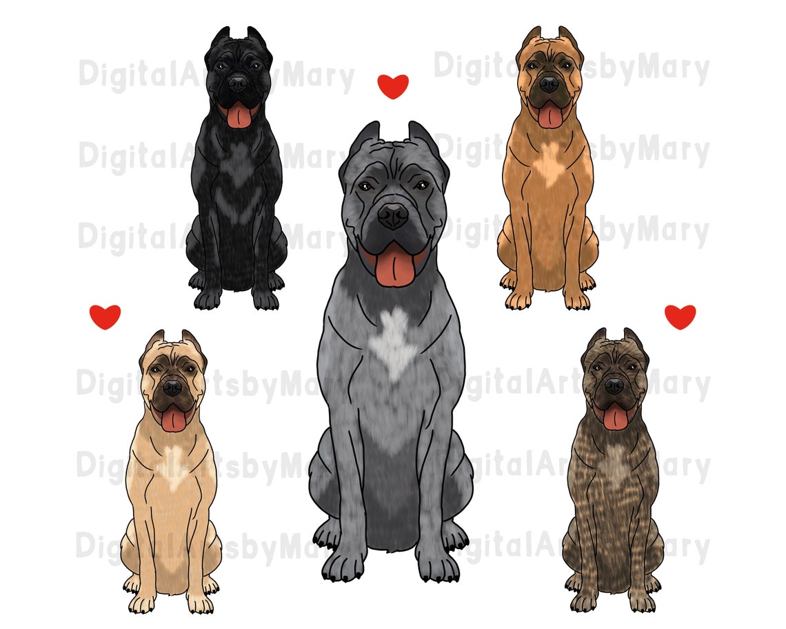 Cute Cane Corso Clipart Set PNG File Instant Download : Cane - Etsy Canada