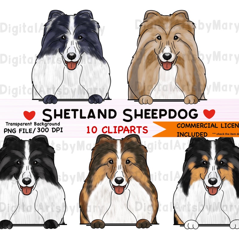 Sheltie Stickers - Etsy