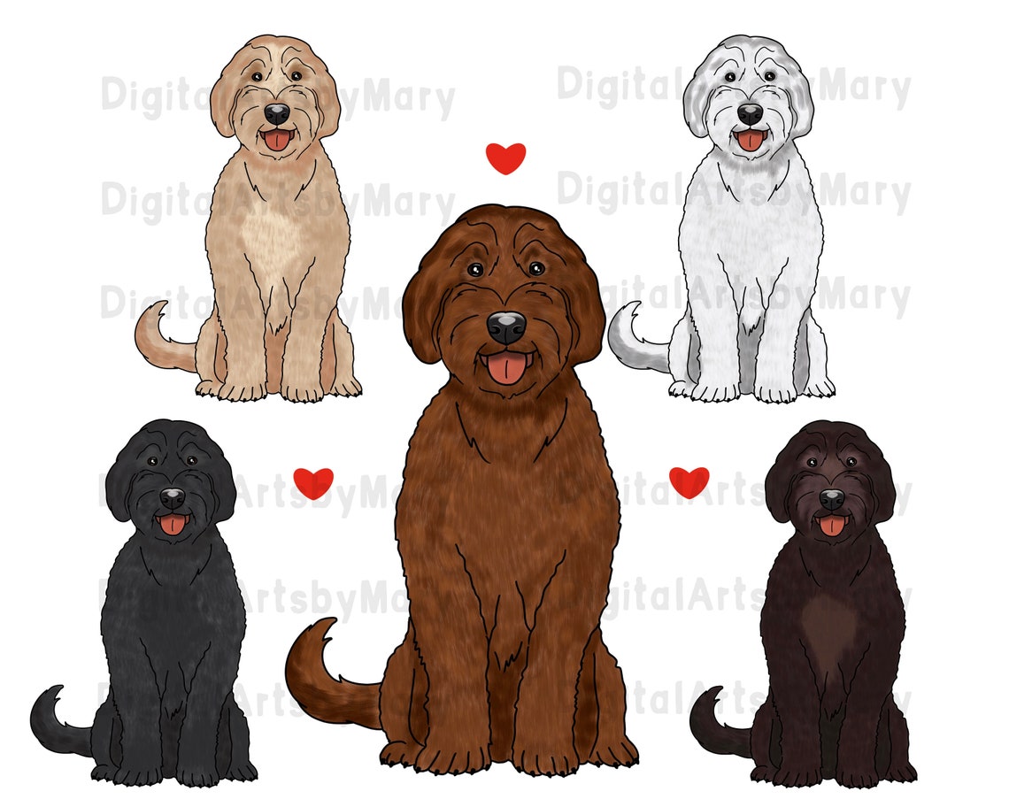 Cute Labradoodle Clipart Set PNG File Instant Download : - Etsy