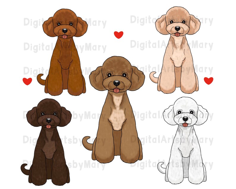Cute Toy Poodle Clipart Set PNG File Instant Download : Toy - Etsy