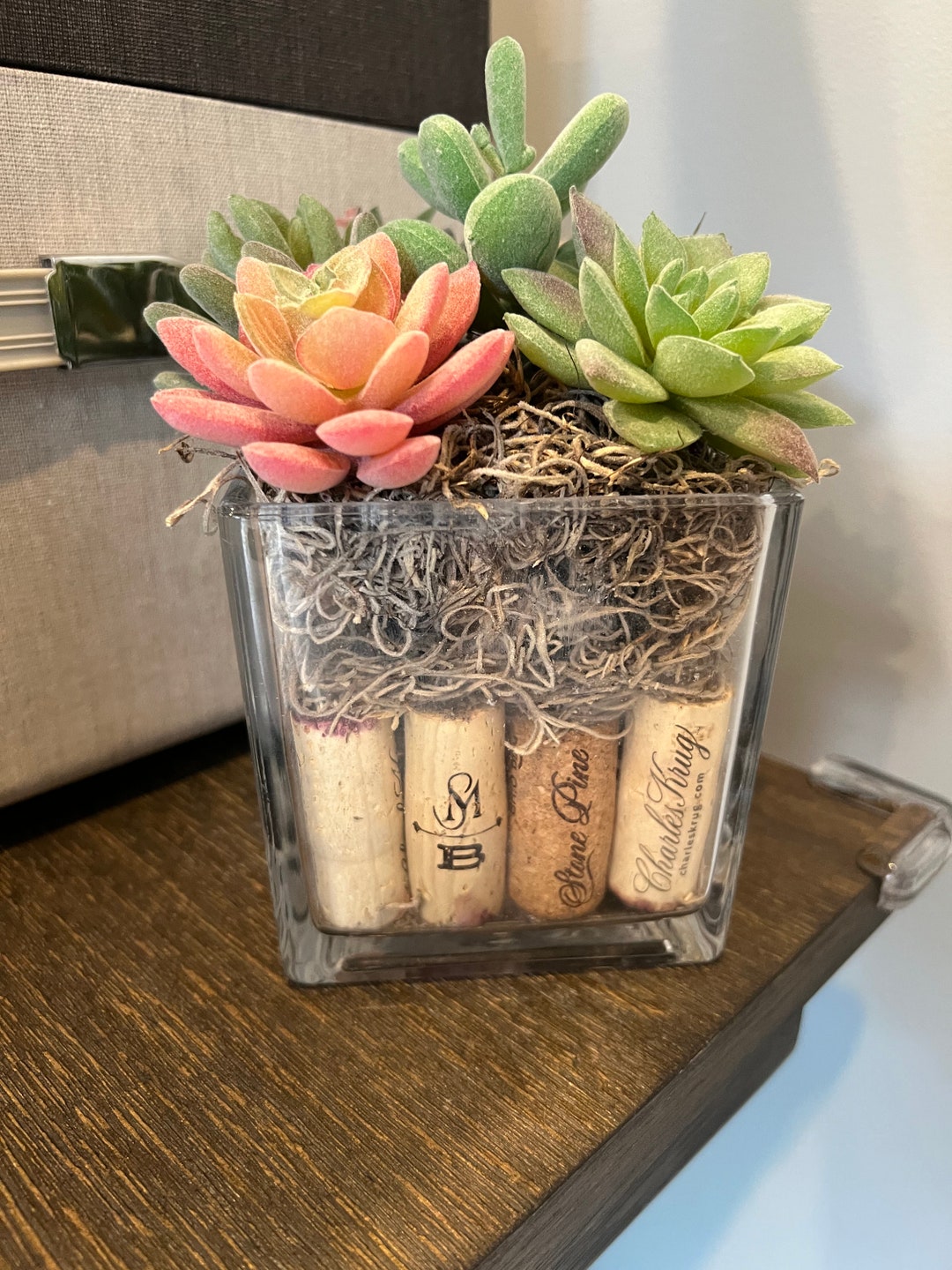 Square Glass Succulent Planter - Etsy