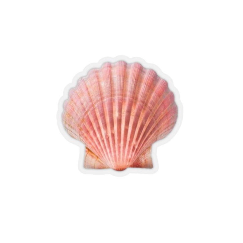 Pink Seashell Sticker - Etsy