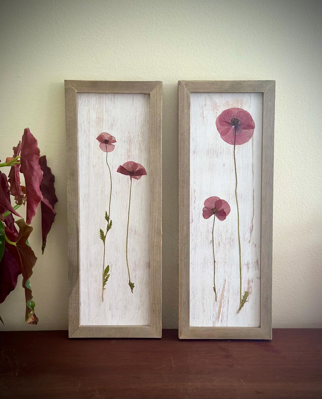 Set of 2 Framed Pressed Poppy Wall Art - Etsy