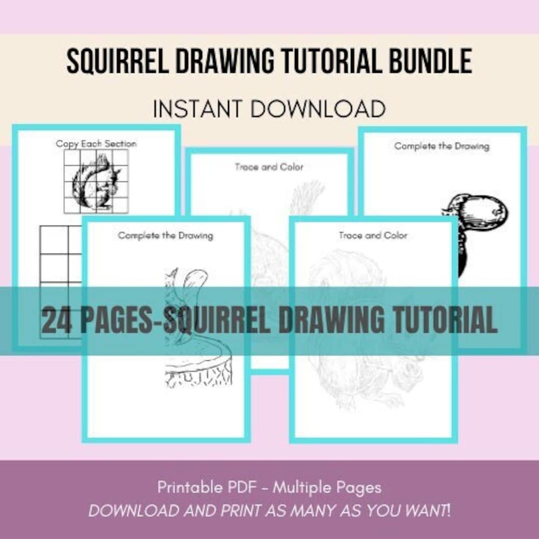 Squirrel Drawing Advanced Tutorial Printable Bundle, How to Draw ...