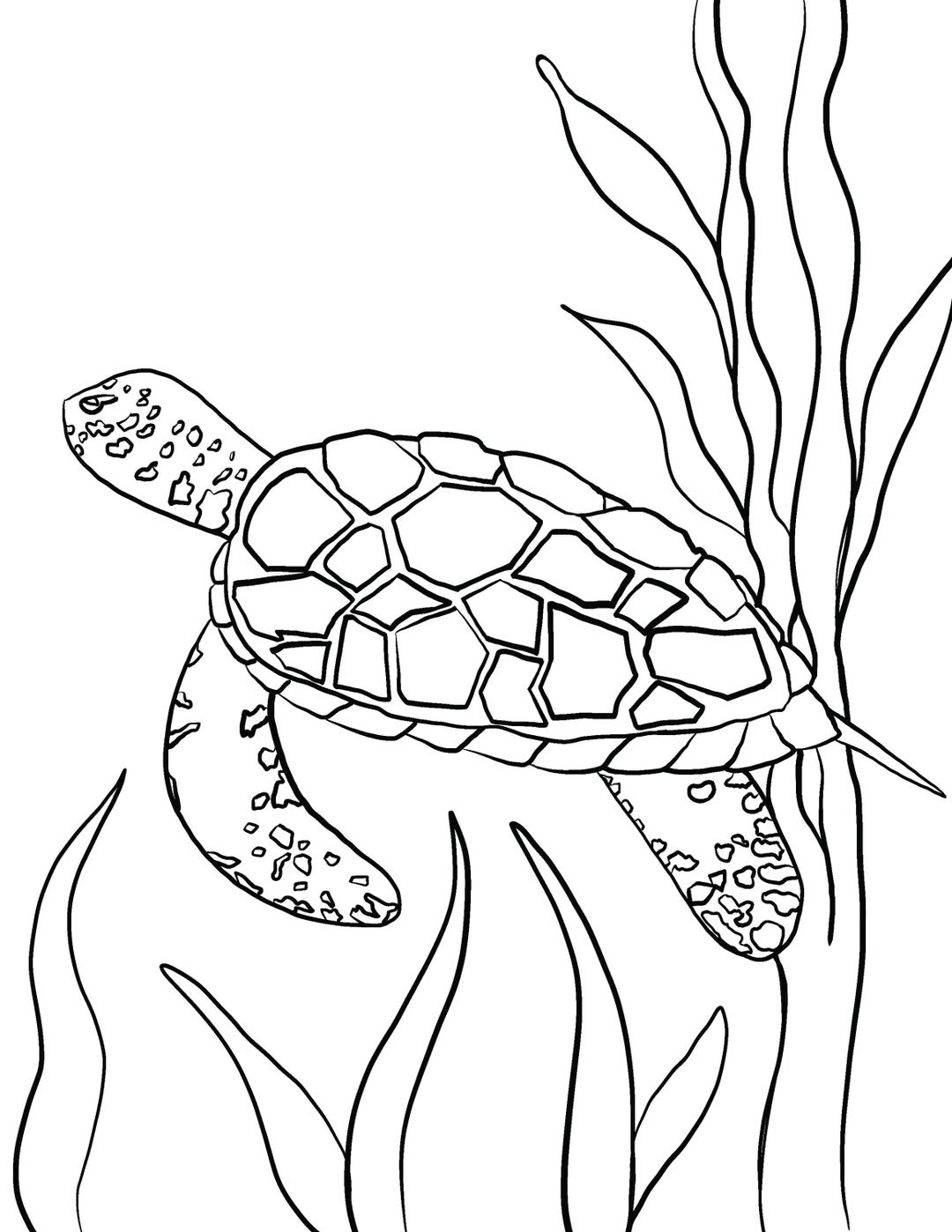 Printable Sea Turtle Coloring Page, Instant Download, Digital, Sea ...