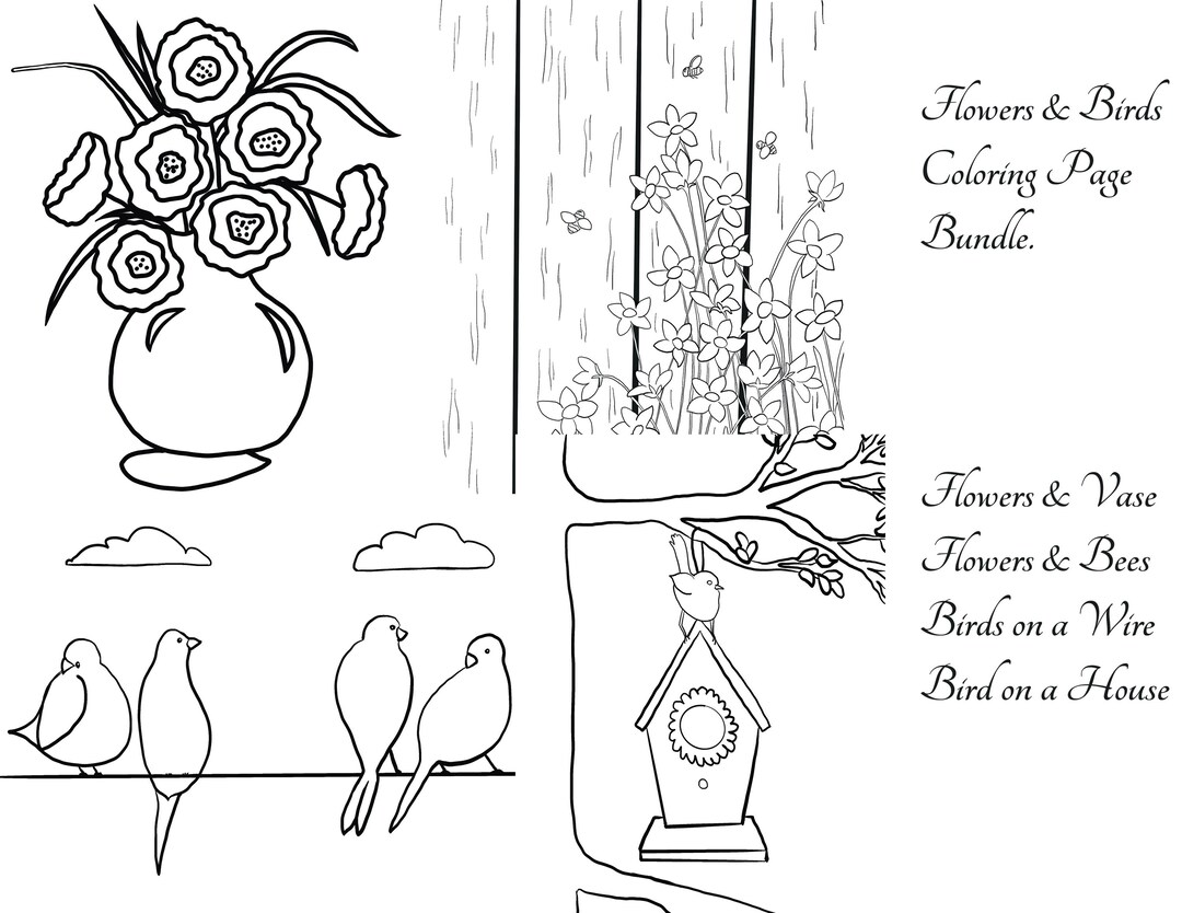 Printable Flowers & Birds Coloring Page Bundle, Instant Download, Birds ...