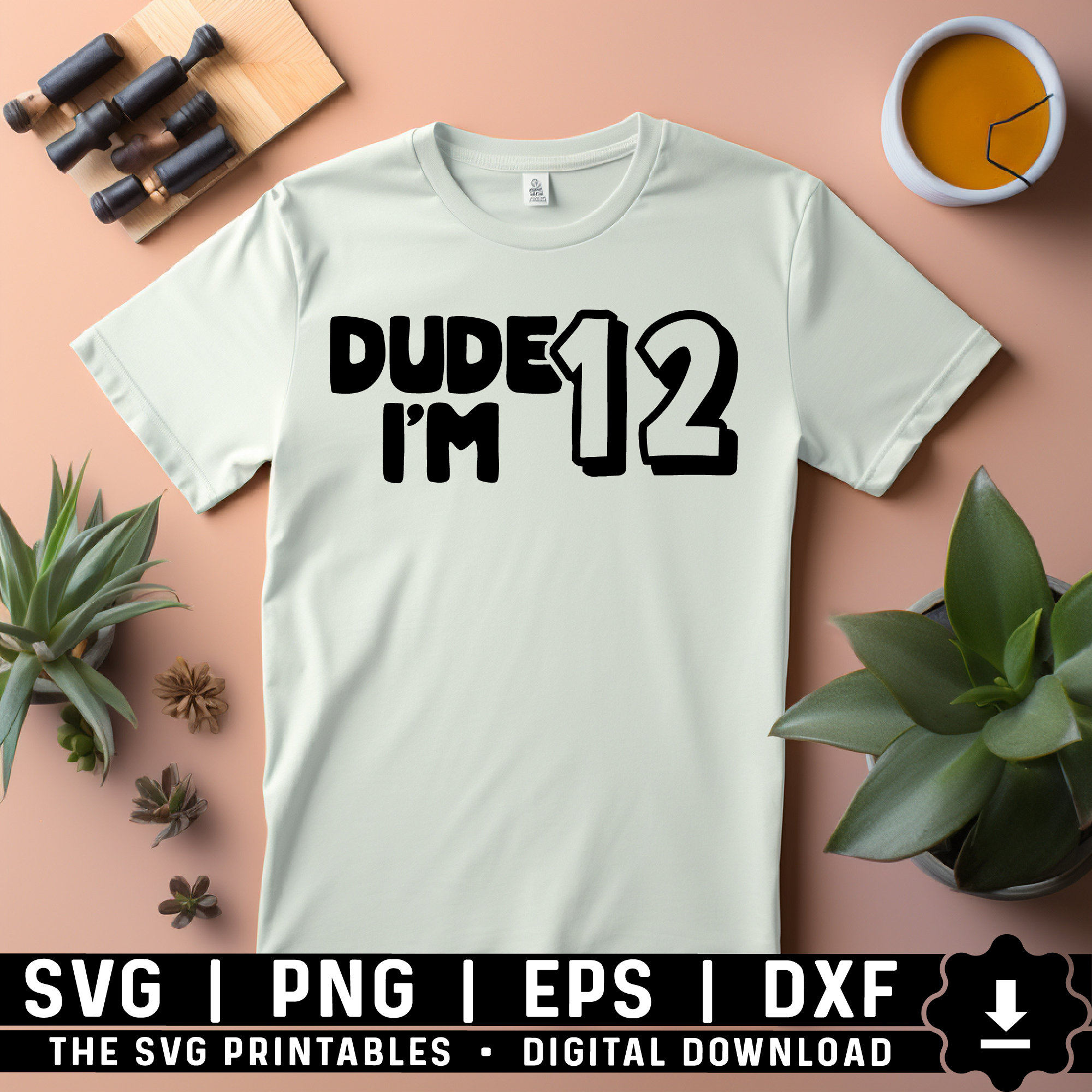 Dude I'm 12 Svg Png, 12th Birthday Svg, Twelfth Birthday Svg, Bro I'm ...