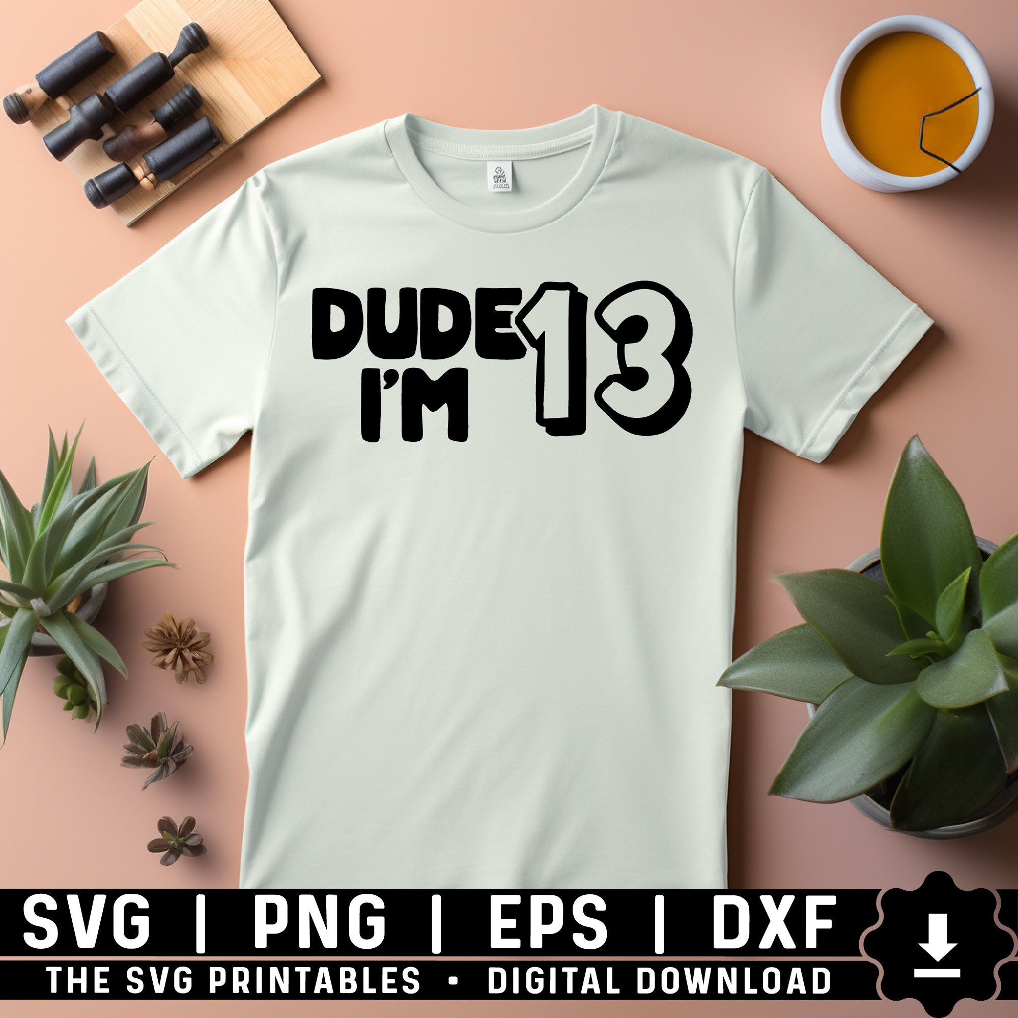 Dude I'm 13 Svg Png, 13th Birthday Svg, Thirteenth Birthday Svg, Bro I ...