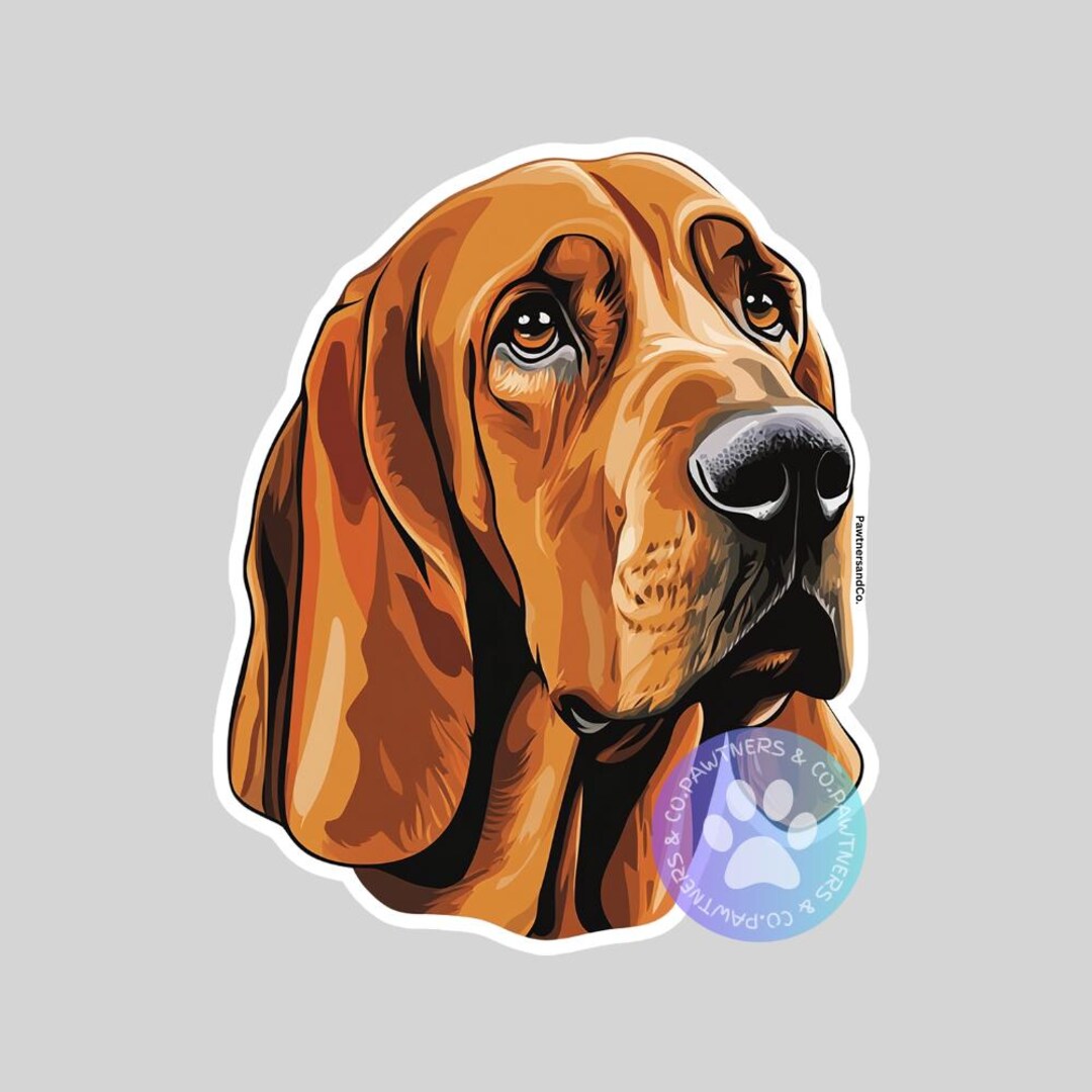 Bloodhound Sticker, Weatherproof Vinyl Decal - Etsy