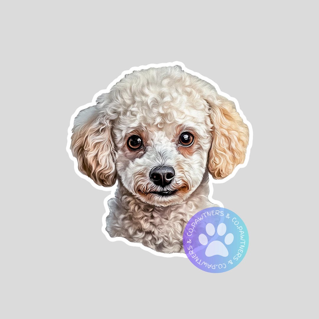 Toy Poodle Sticker, Sticker Gift, Cute Stickers, Animal Decals, MacBook ...