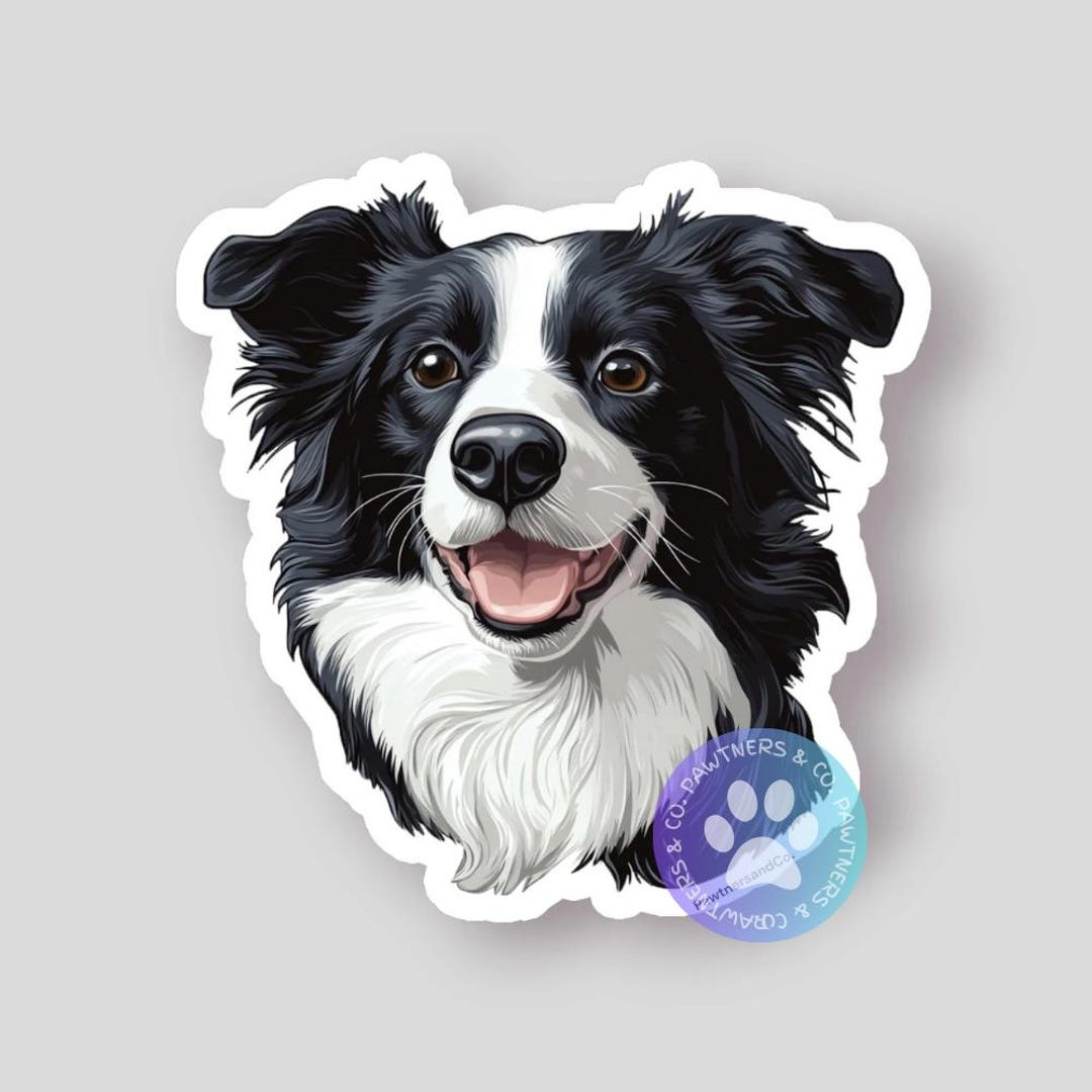 Glossy Border Collie Sticker, Sticker Gift, Cute Stickers, Animal ...