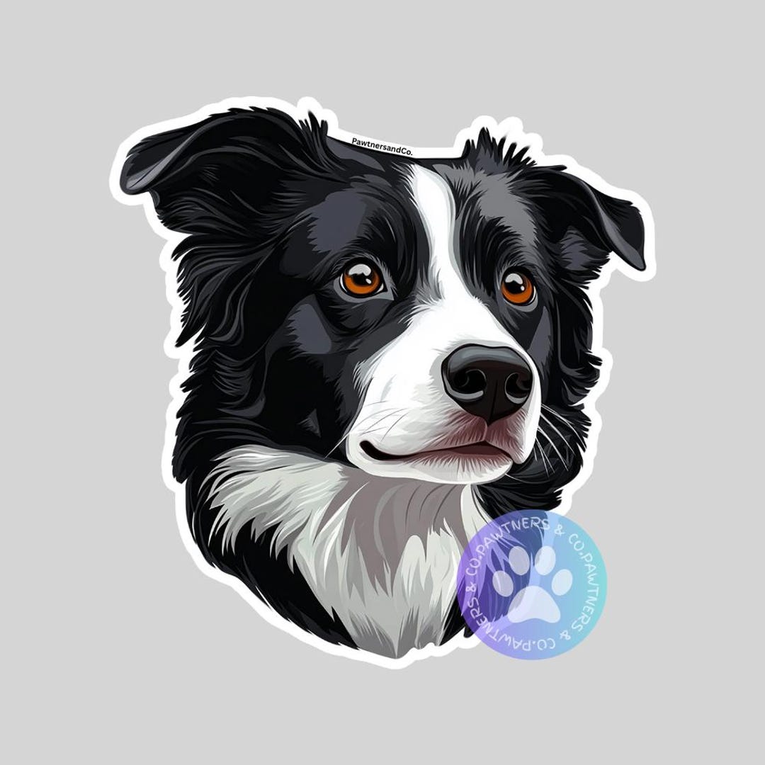 Border Collie Sticker, Sticker Gift, Cute Stickers, Animal Decals ...