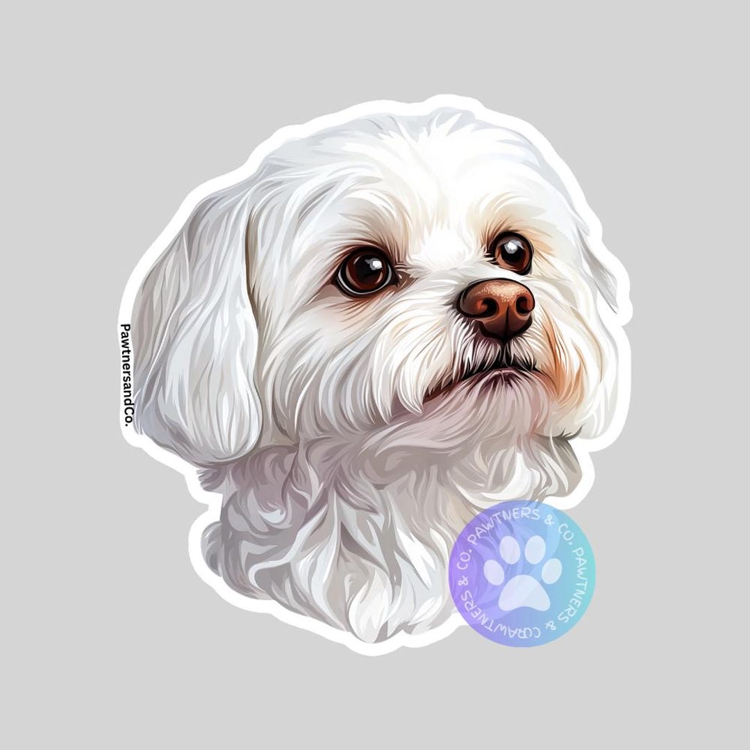 Maltese Sticker, Sticker Gift, Cute Stickers, Animal Decals, MacBook ...