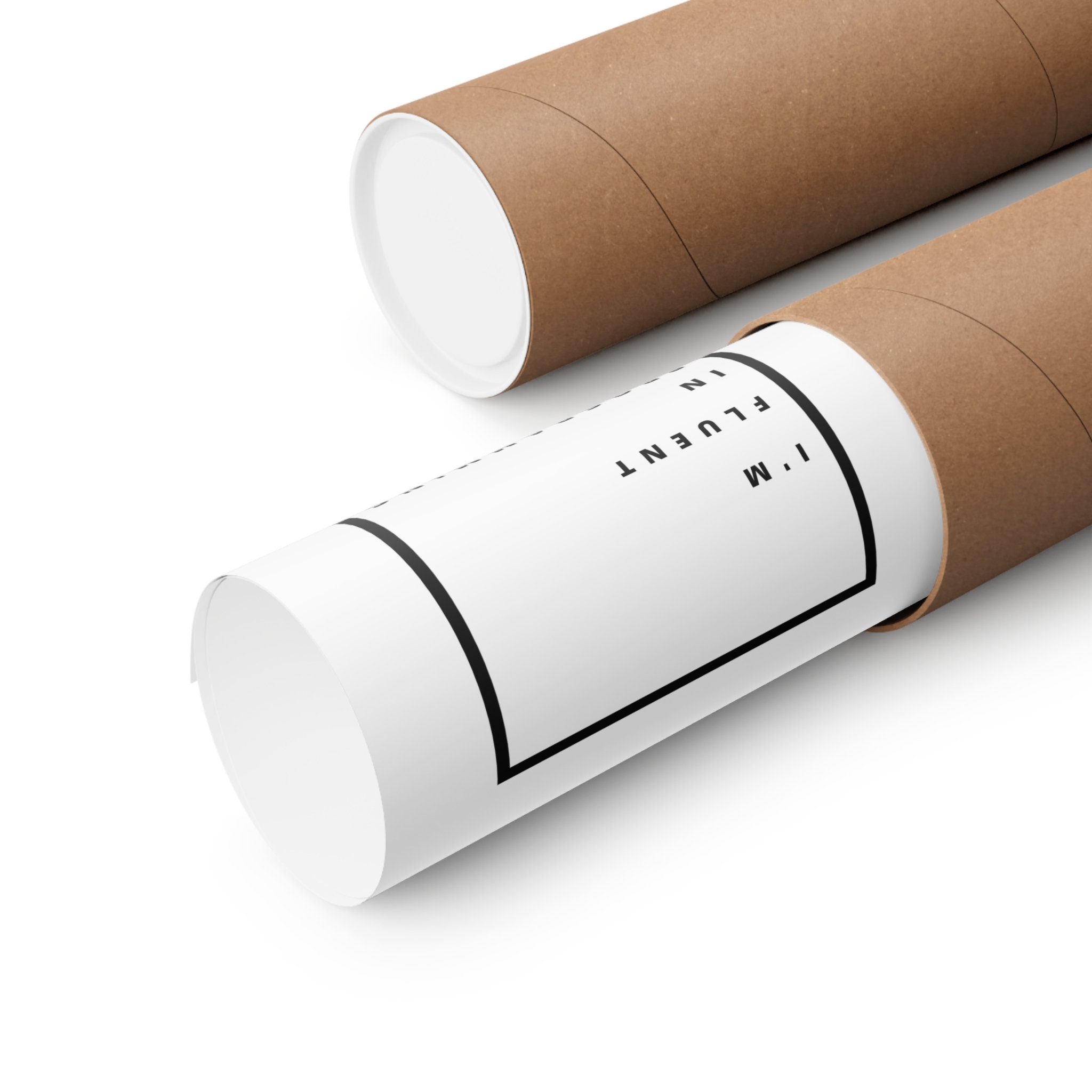 Minimalist Programming Languages Poster I'm Fluent in Programming Languages Software Engineer ...