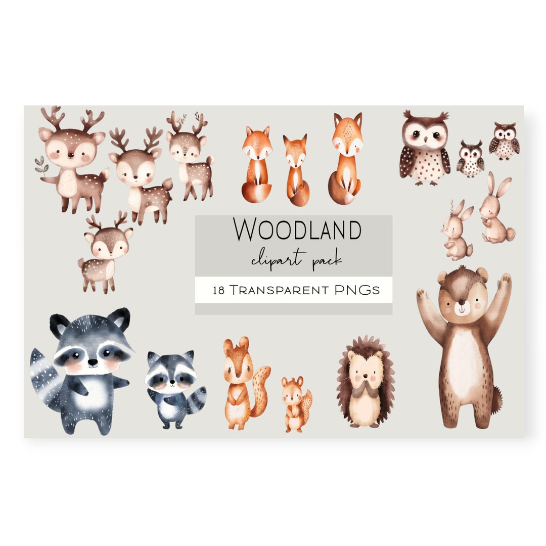 Boho Woodland Animals Clipart Safari Animals Clipart Bear Fox Raccoon ...