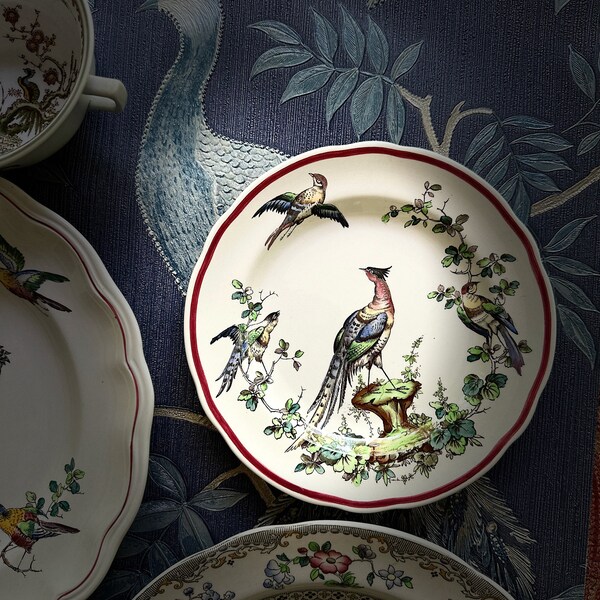 Spode Bird Plate - Etsy