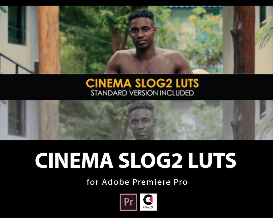 Sony Cinema Slog2 and Standard Luts | Lookup Tables, Color Correct, Color Grade, Presets, Plugin ...