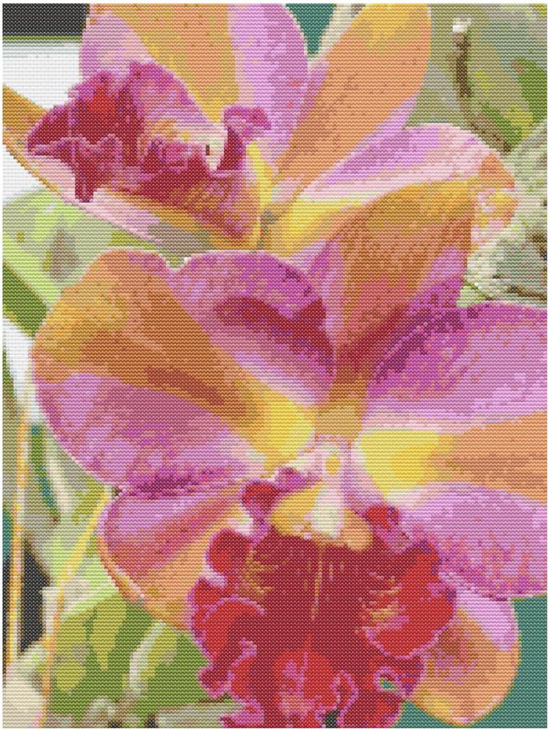 Orchids Cross Stitch Pattern - Etsy