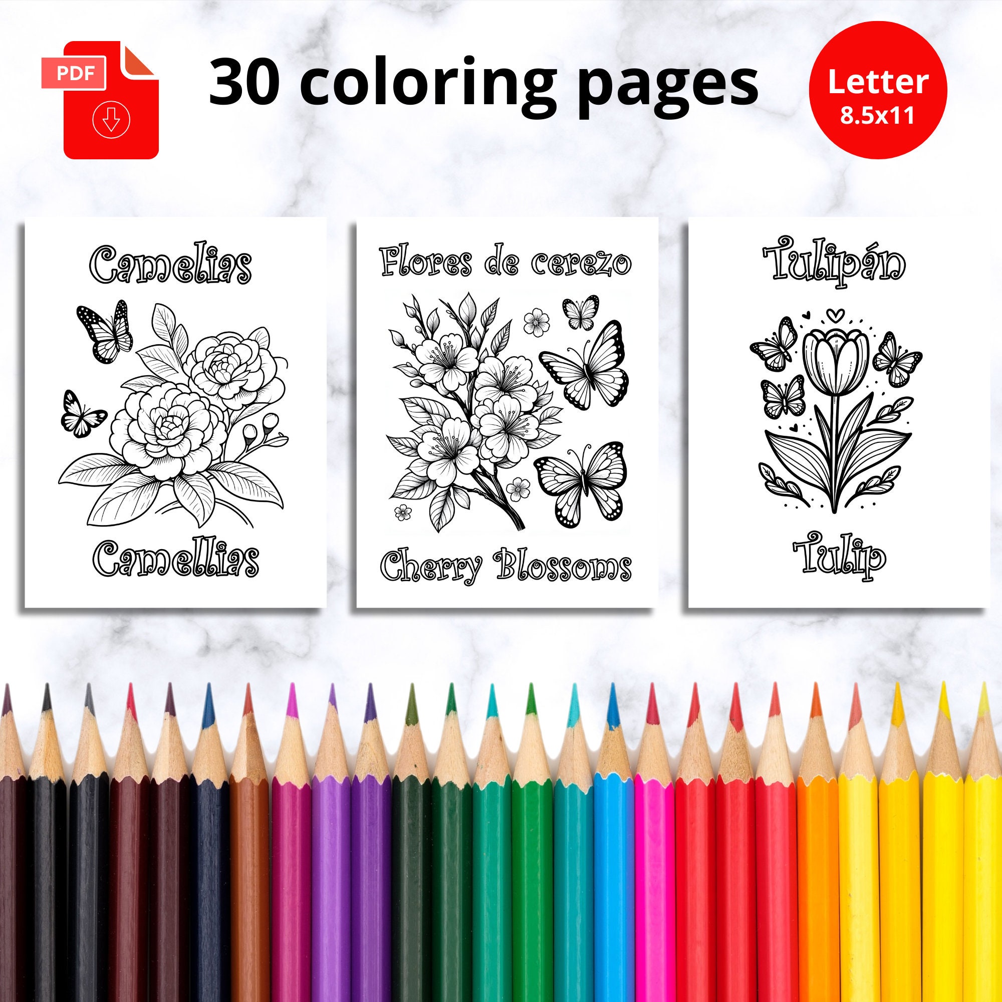 30 Flower Coloring Pages With Bilingual Names. Printable Coloring Book ...
