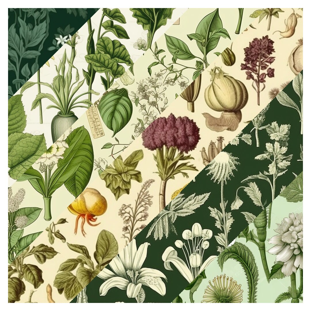 10 Seamless Botany Themed Patterns, Digital Paper, Clothing Patterns ...