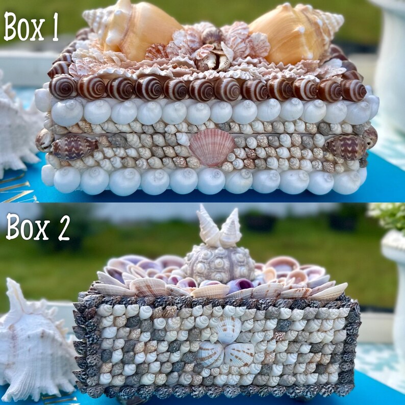 Tropical Seashell Trinket Box: Coastal Decor, Sanibel Shells - Etsy