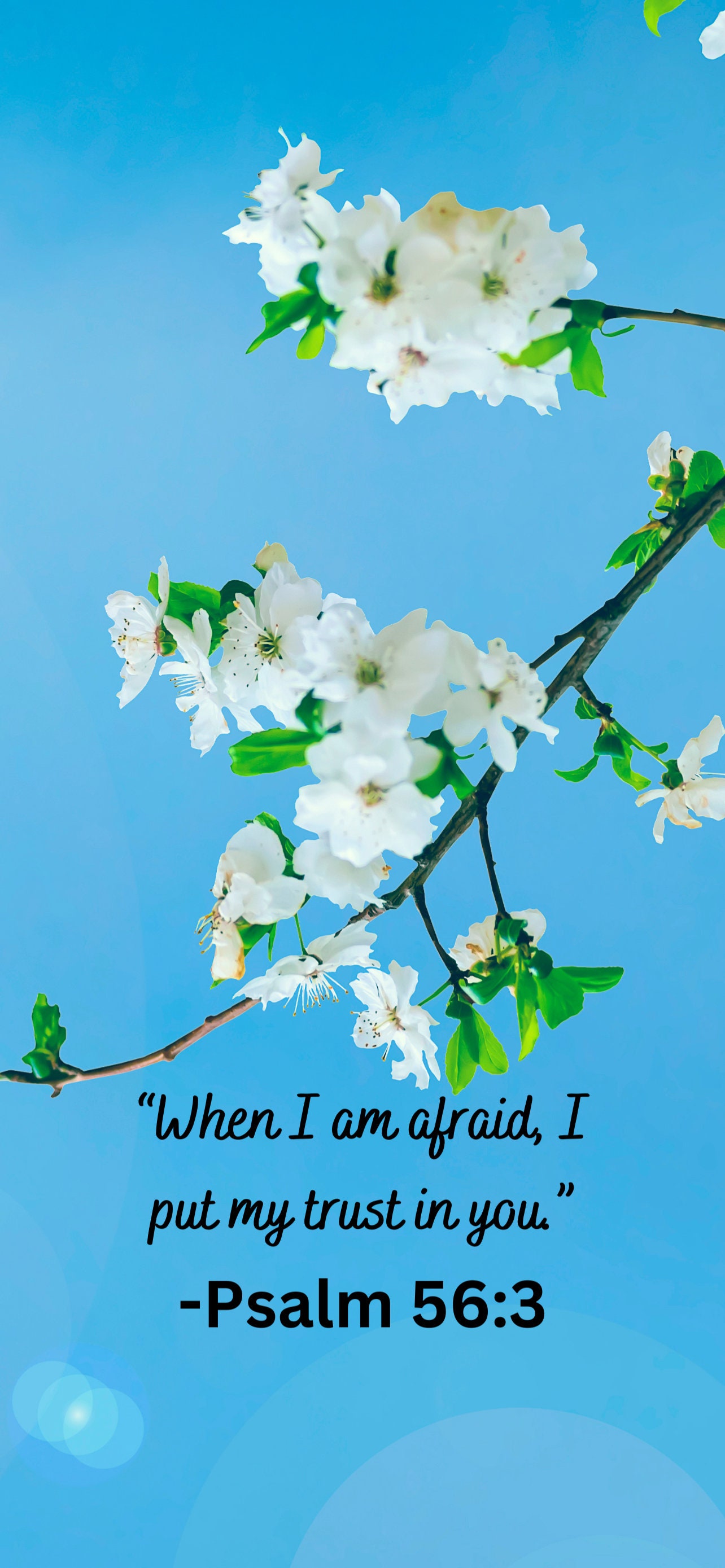 JW Year Text Mobile Phone Wallpaper for 2024 Scripture Phone Picture - Etsy