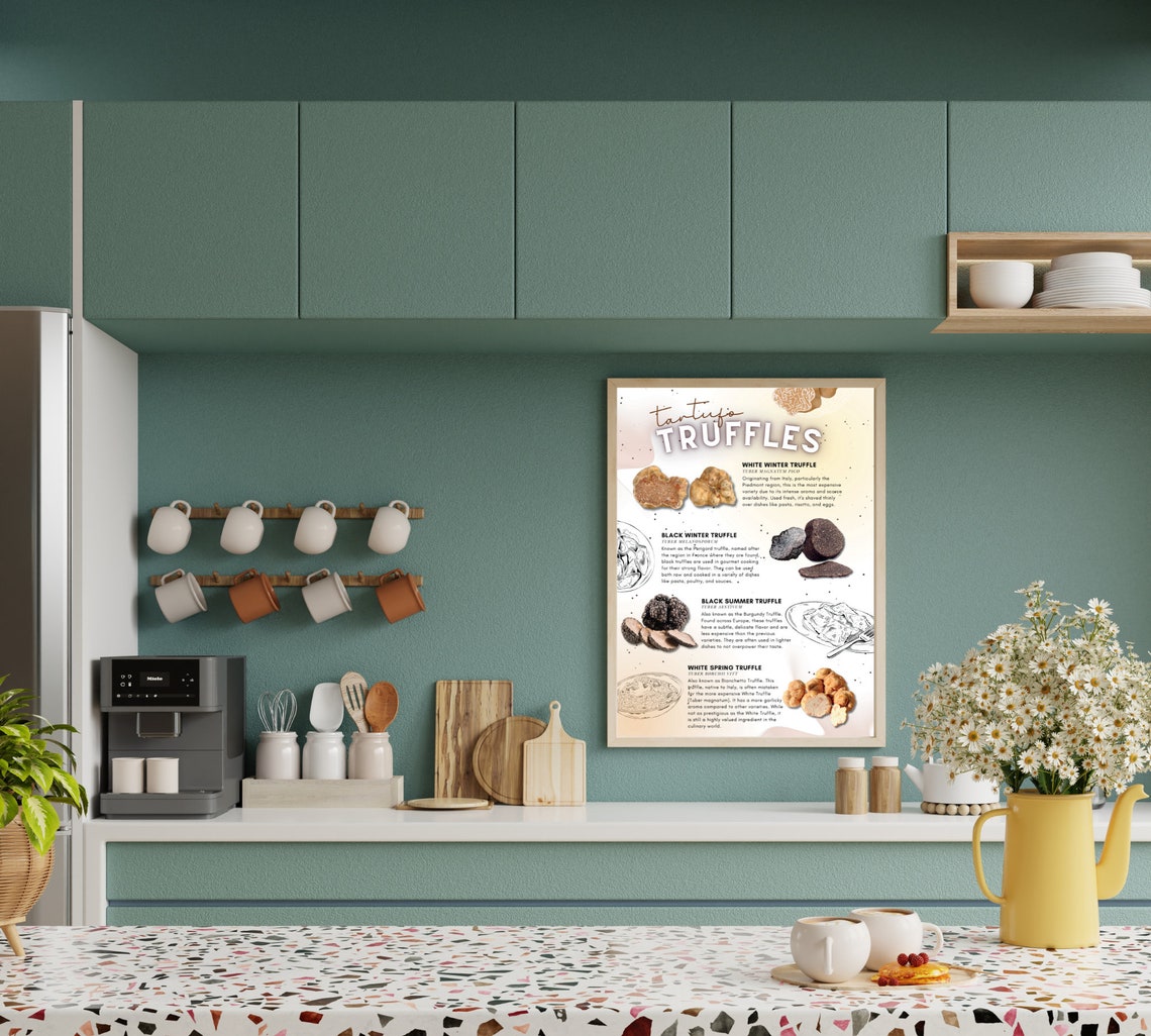 Truffle Mushroom Infographic Truffle Posters Truffle - Etsy
