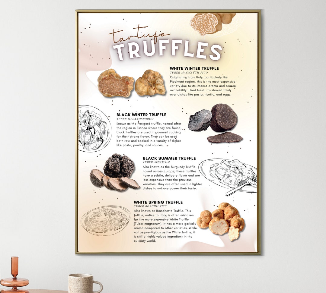 Truffle Mushroom Infographic Truffle Posters Truffle - Etsy