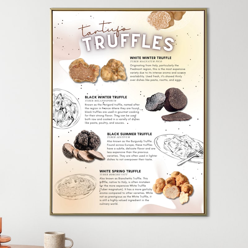 Truffles - Etsy