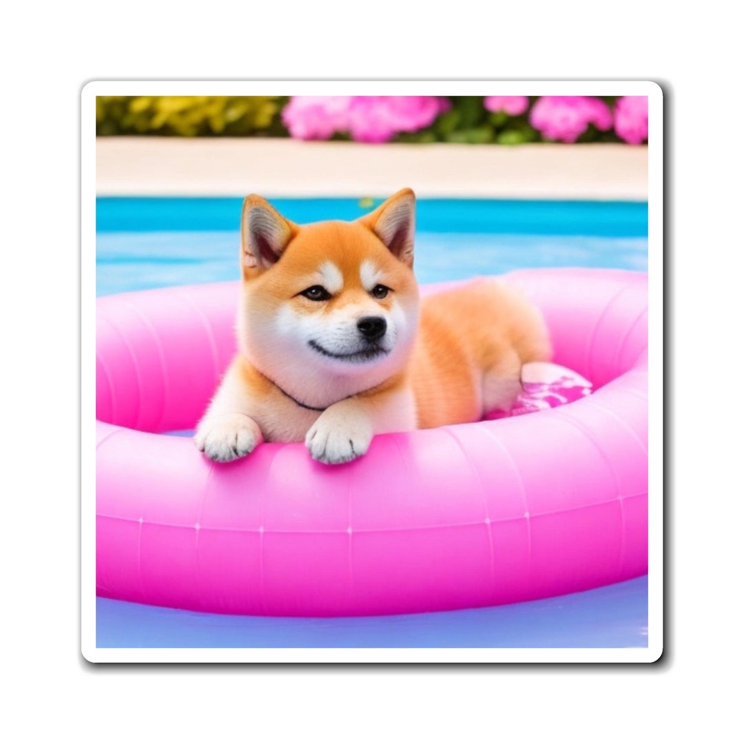 Shiba Inu Swimming Pool Magnet | Shiba Lovers | Cute Shiba Magnet ...