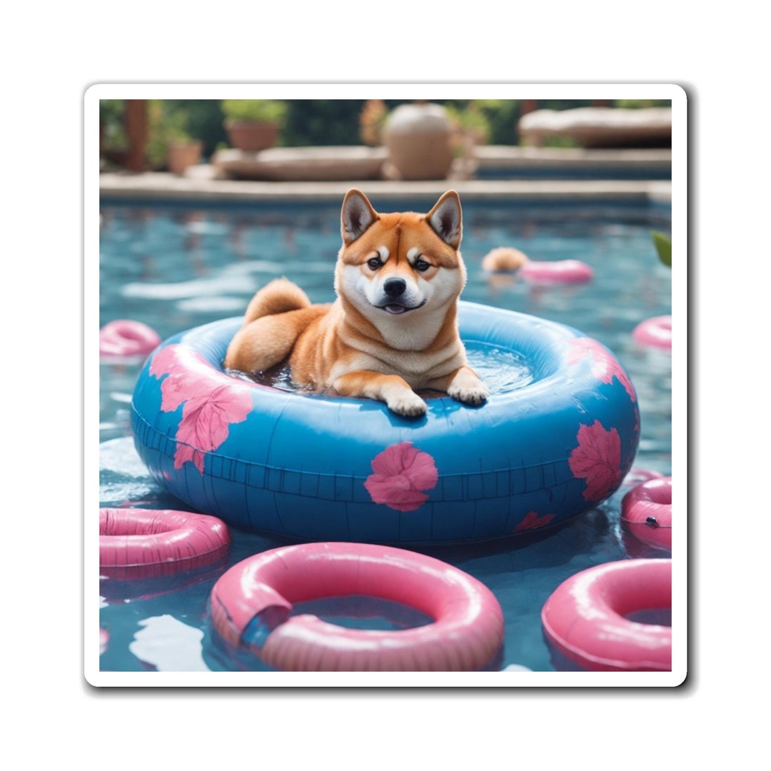 Shiba Inu Swimming Pool Magnet Shiba Lovers Shiba Floating Magnet Shiba ...