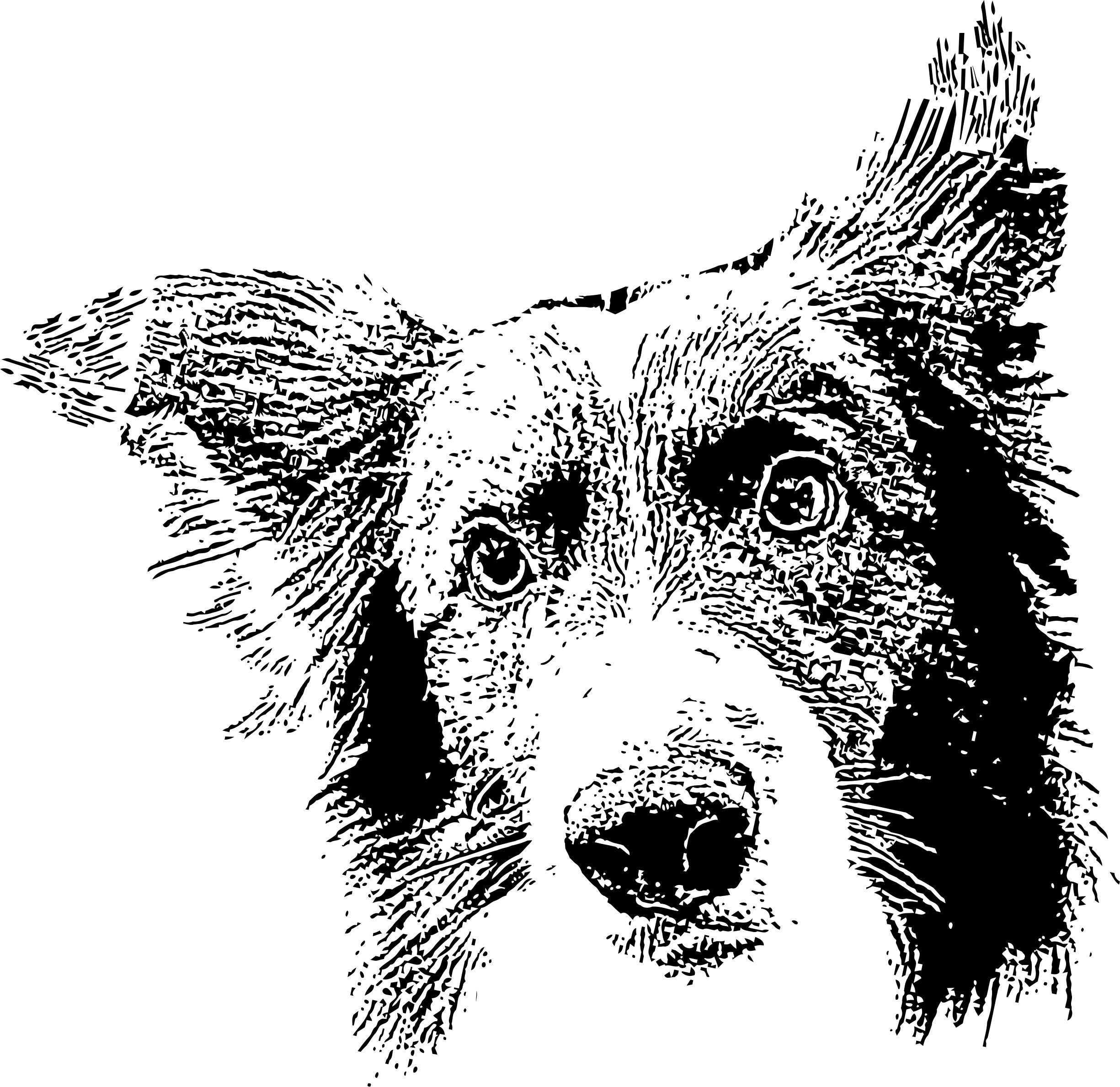 Custom Pet Photo Drawing - Etsy